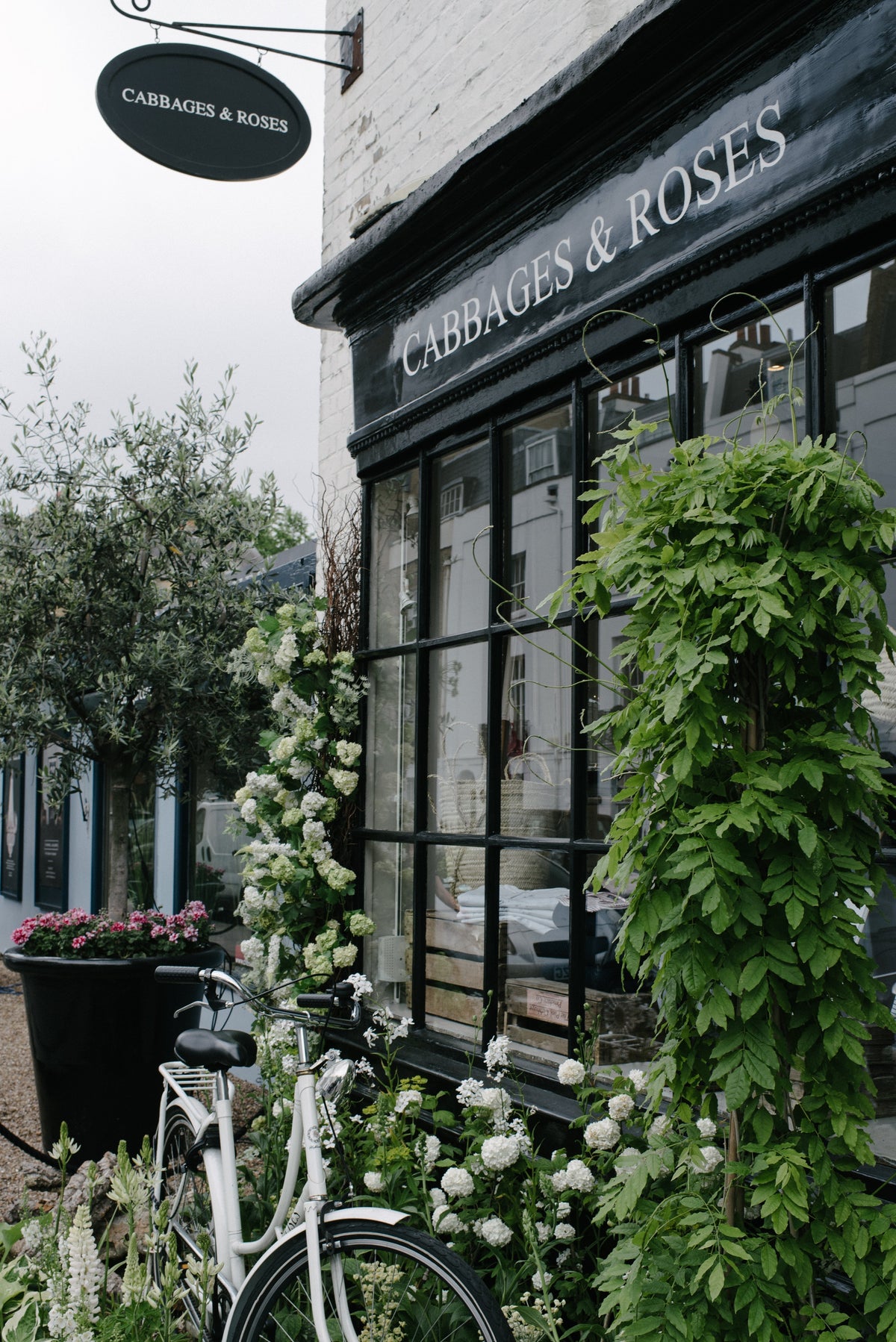 Flower Show & Elderflower Cordial– cabbagesandroses